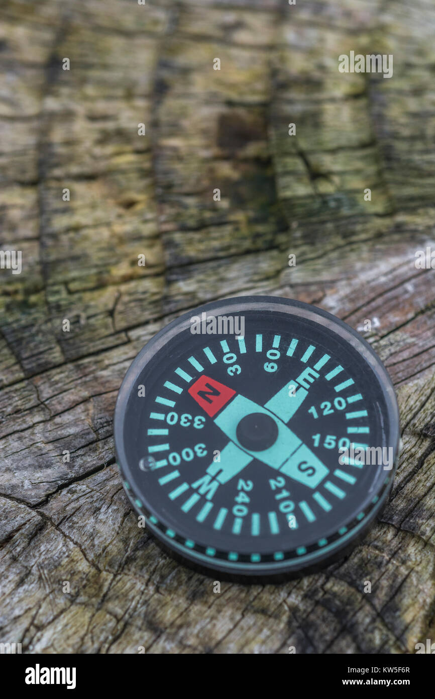 Button compass - metaphor for business 'direction', navigation, moral ...