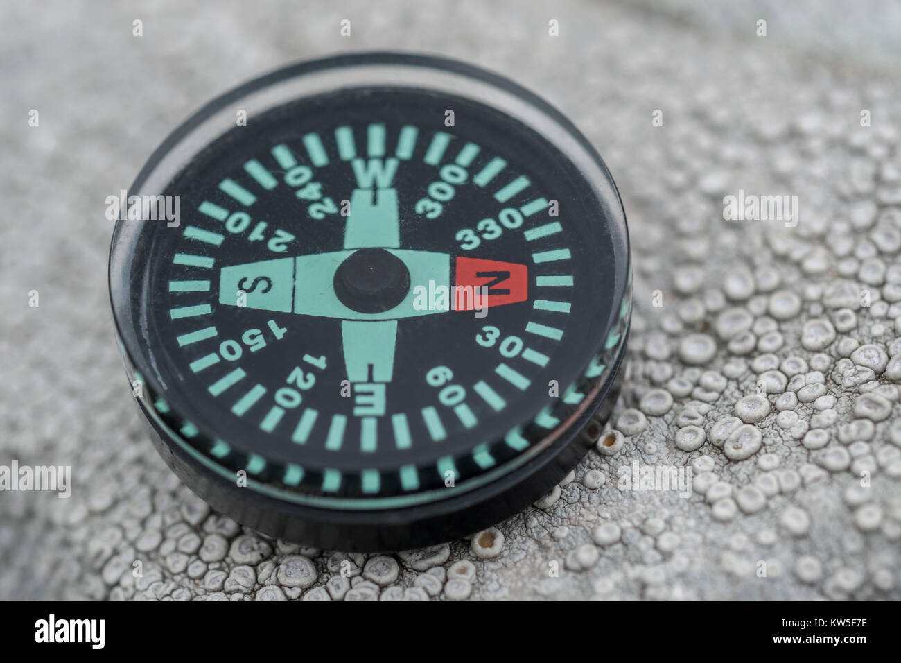 Button compass - metaphor for business 'direction', navigation, moral ...
