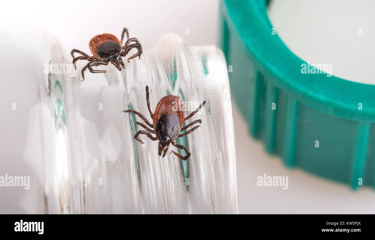 Insect repellent tube hi-res stock photography and images - Alamy