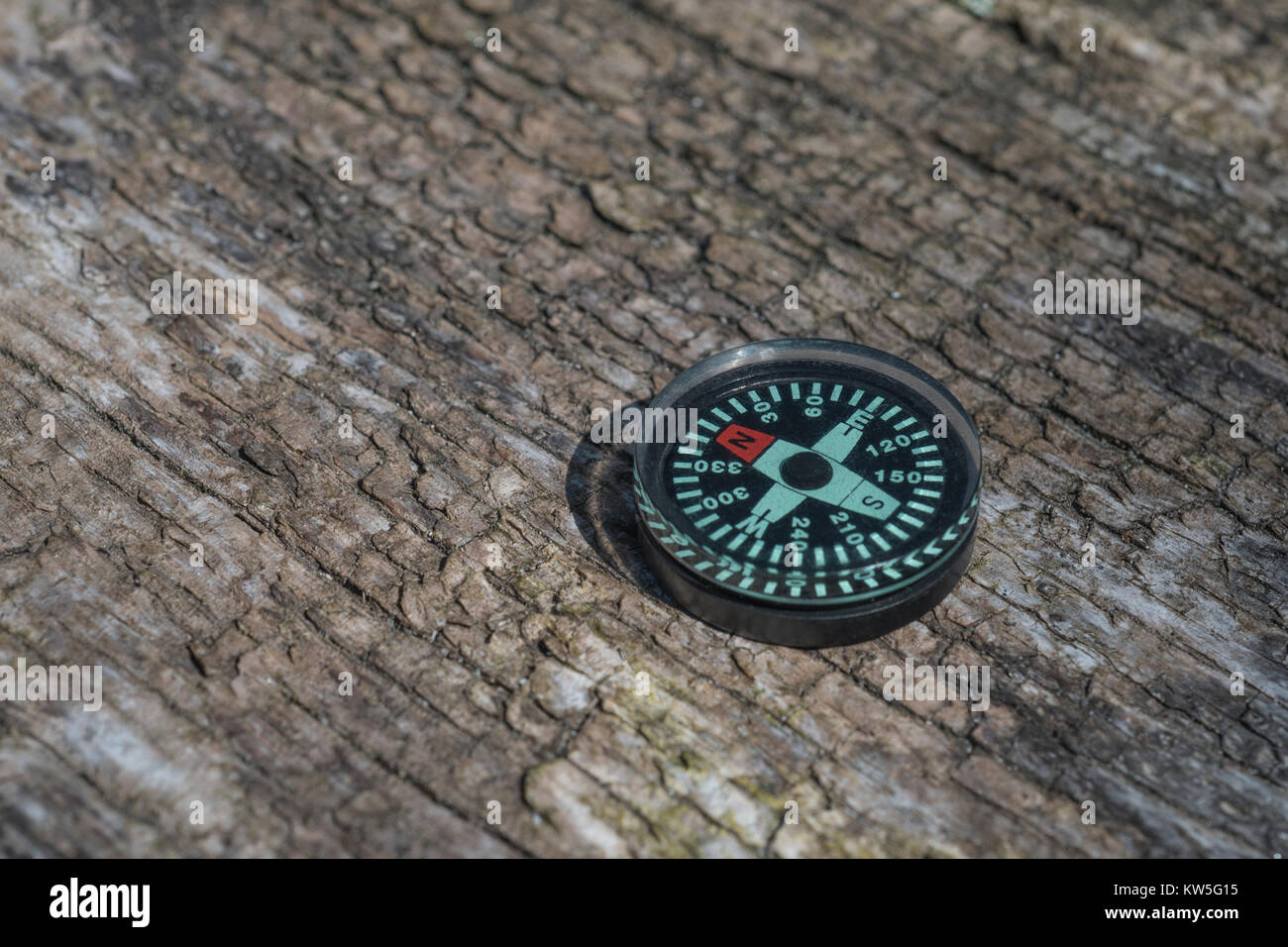 Button compass - metaphor business 'direction', navigation, moral ...