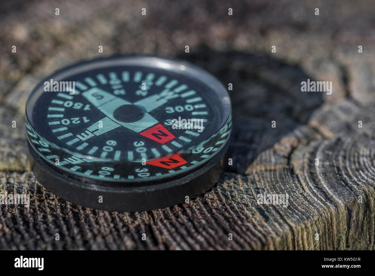 Button compass - metaphor for business 'direction', navigation, moral ...