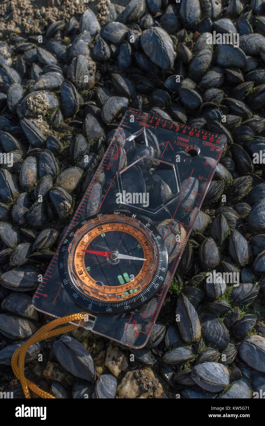 Orienteering compass - metaphor for business 'direction', navigation ...