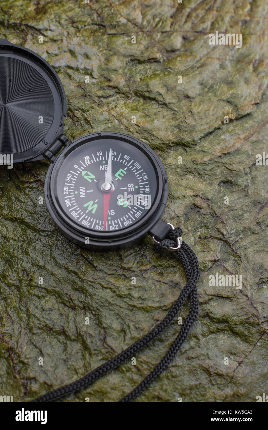 Compass south west - metaphor for business 'direction', navigation ...