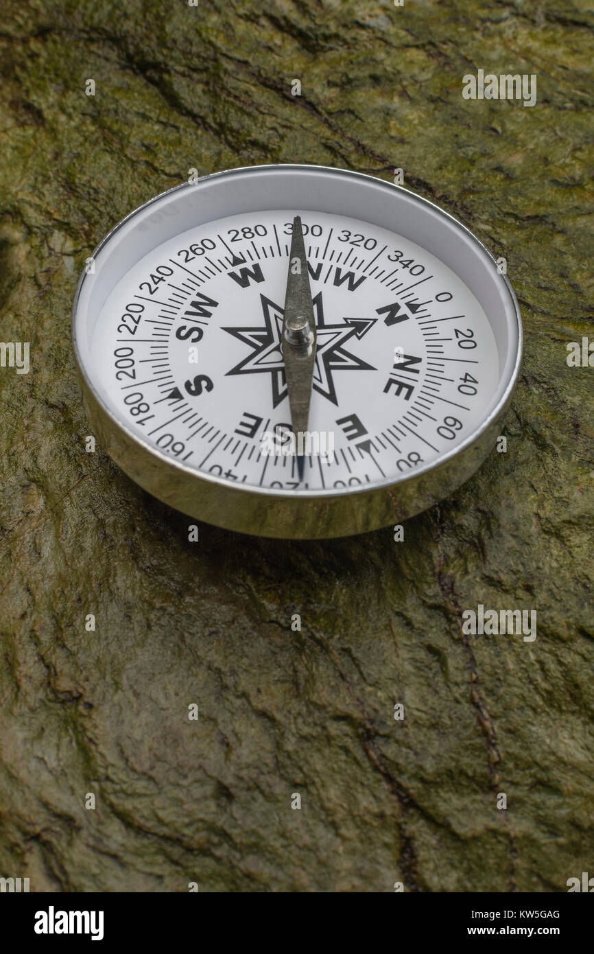 Compass north west - metaphor for business 'direction', navigation ...