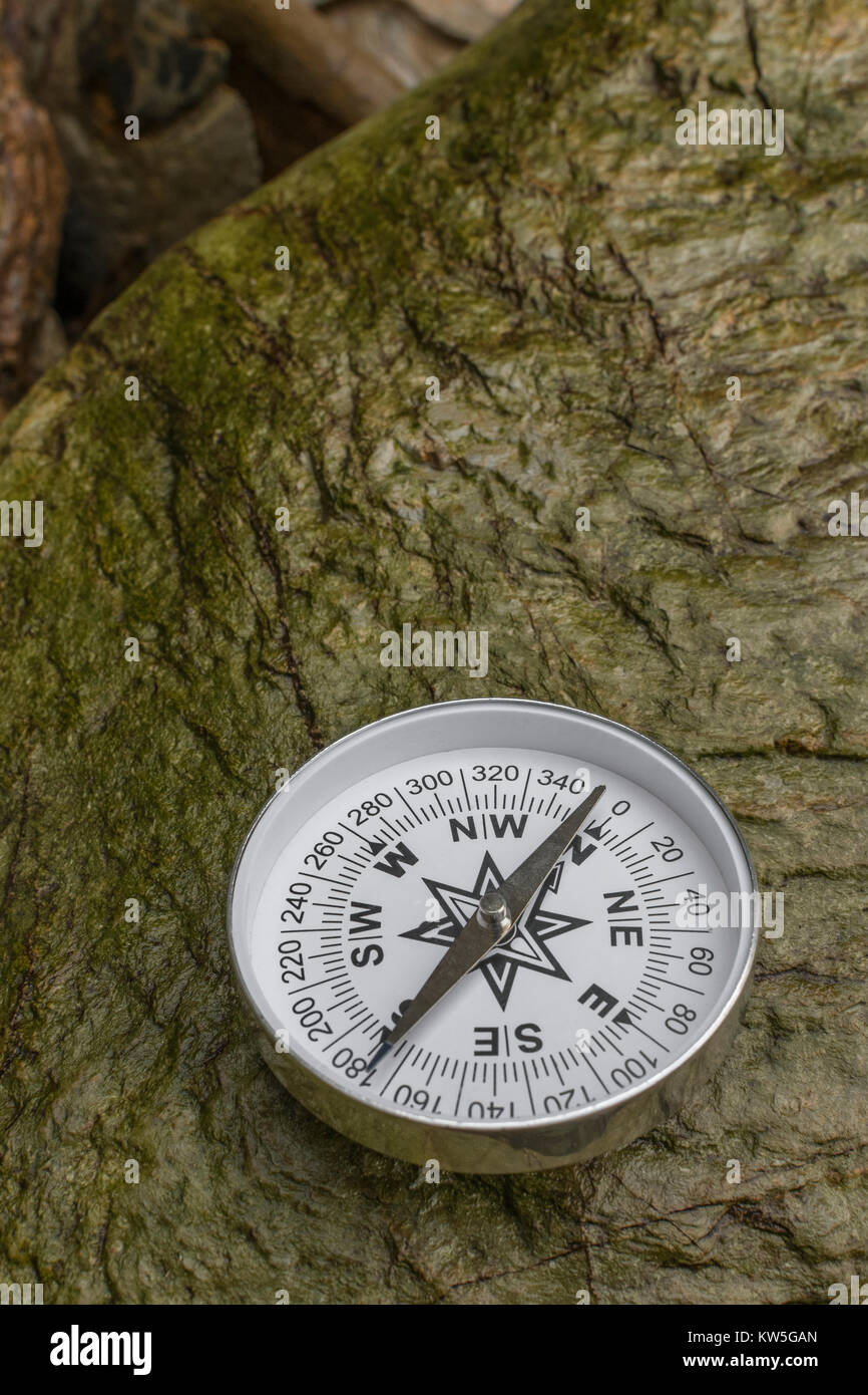 Compass - metaphor for business 'direction', navigation, moral compass ...