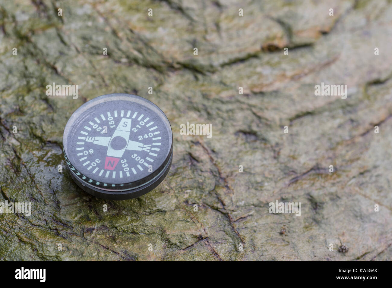 Button compass - metaphor for business 'direction', navigation, moral ...