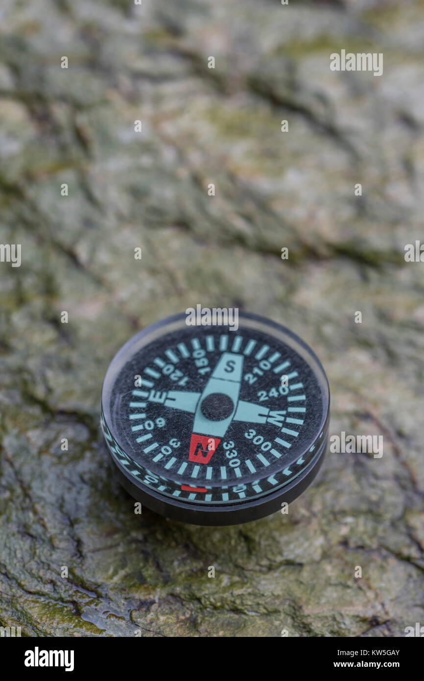 Button compass - metaphor business 'direction', navigation, moral ...