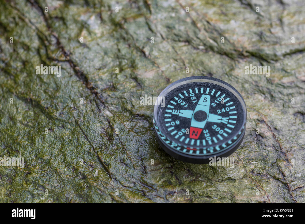 Button compass - metaphor business 'direction', navigation, moral ...
