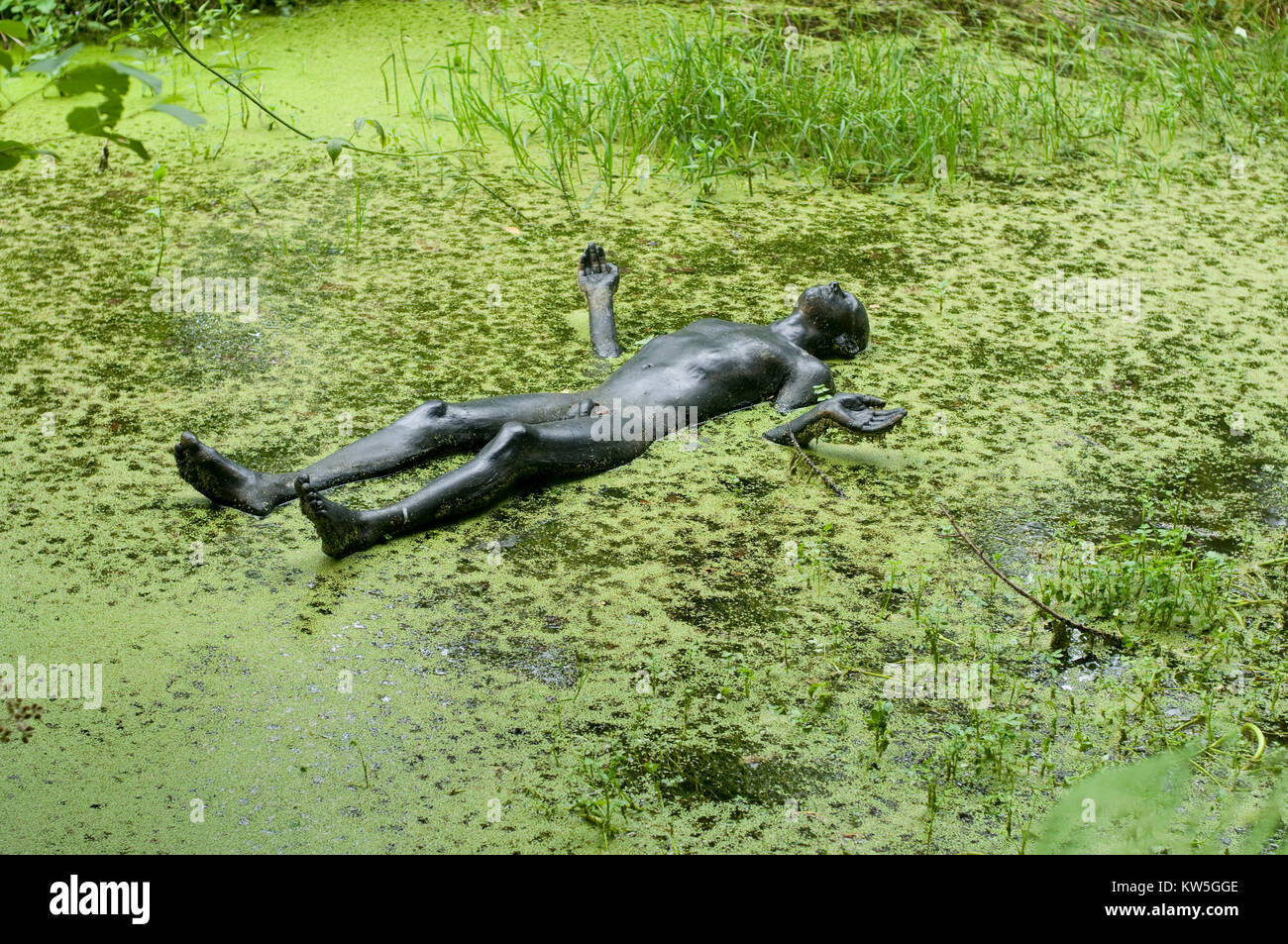 Floating human form in green pond Stock Photo - Alamy