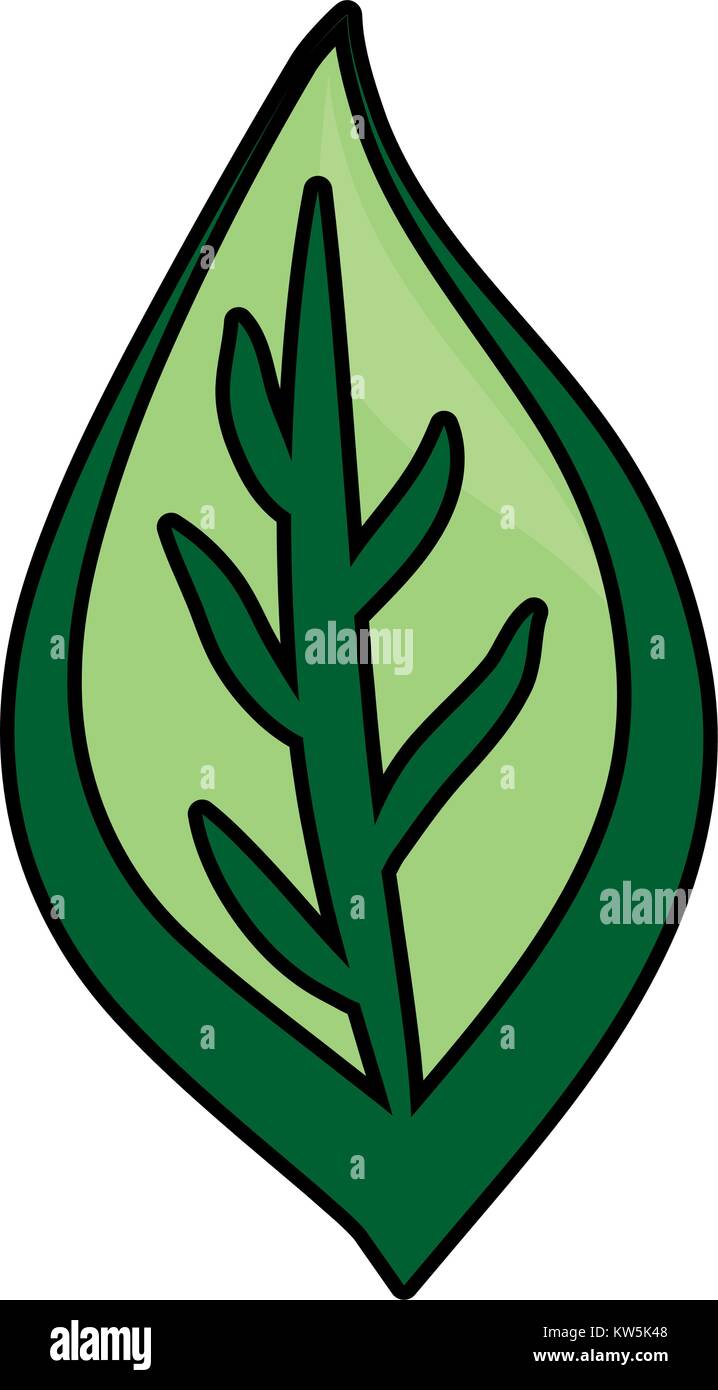 Leaf eco symbol cartoon Stock Vector Image & Art - Alamy
