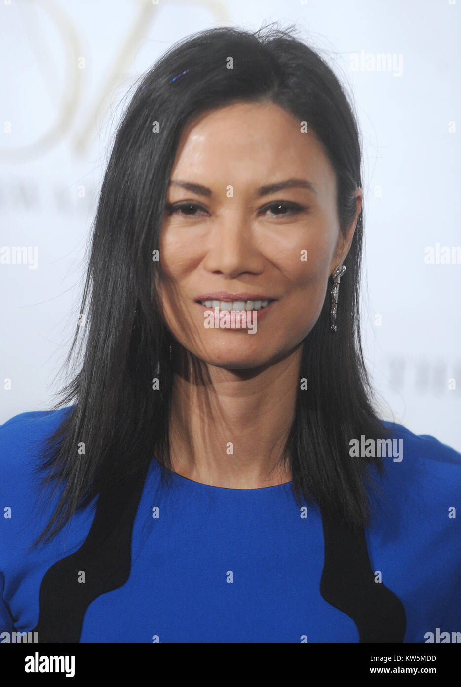 NEW YORK, NY - APRIL 04: Wendi Murdoch attends the 2014 DVF Awards at ...