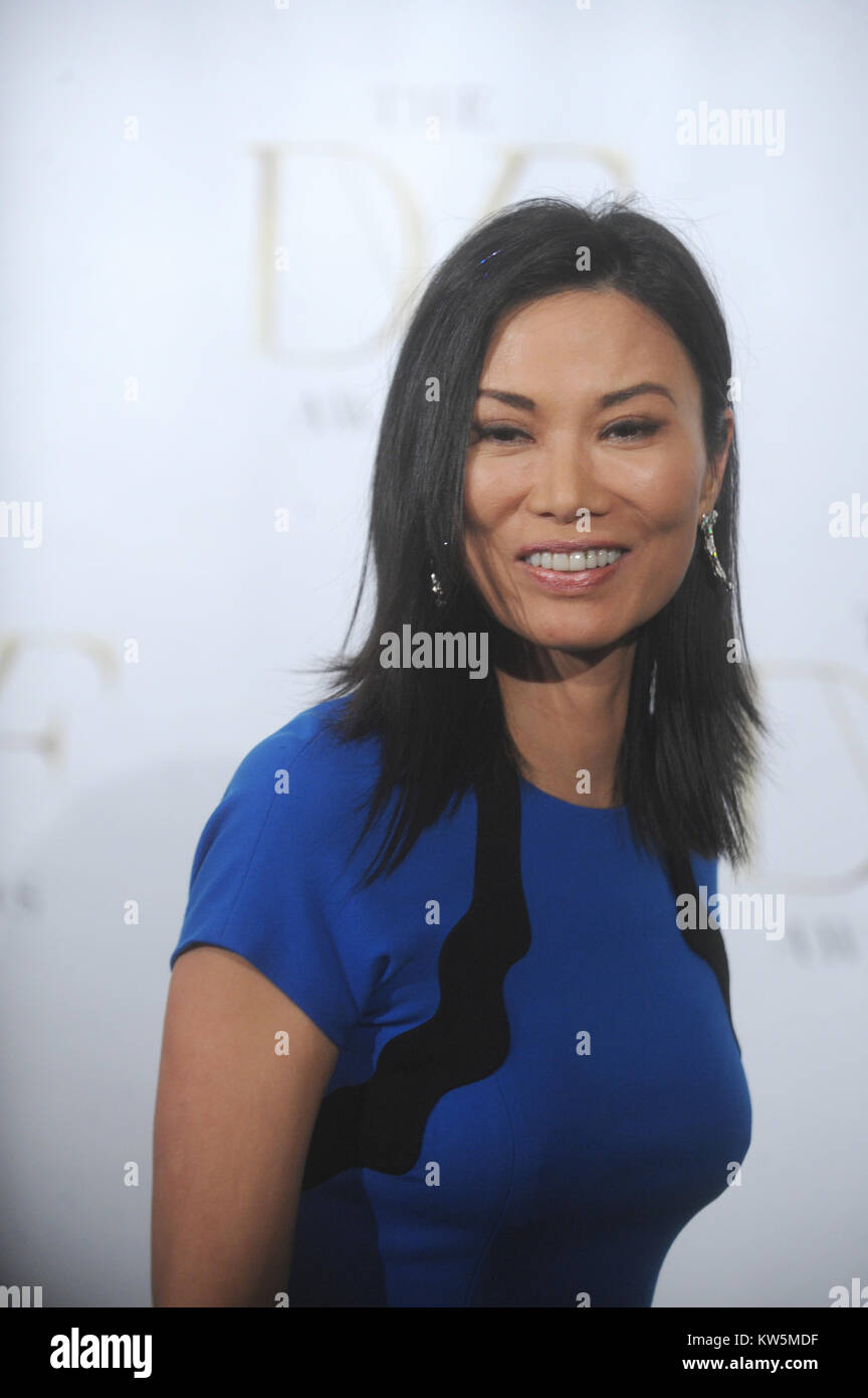 NEW YORK, NY - APRIL 04: Wendi Murdoch attends the 2014 DVF Awards at ...