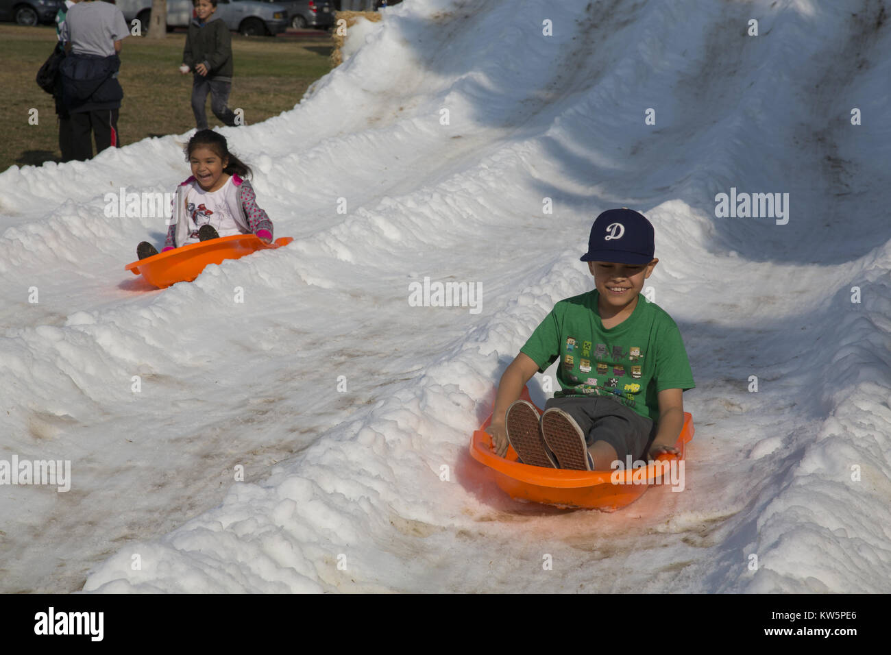 Children sled riding on on trucked-in snow at Drake Park in Long Beach ...