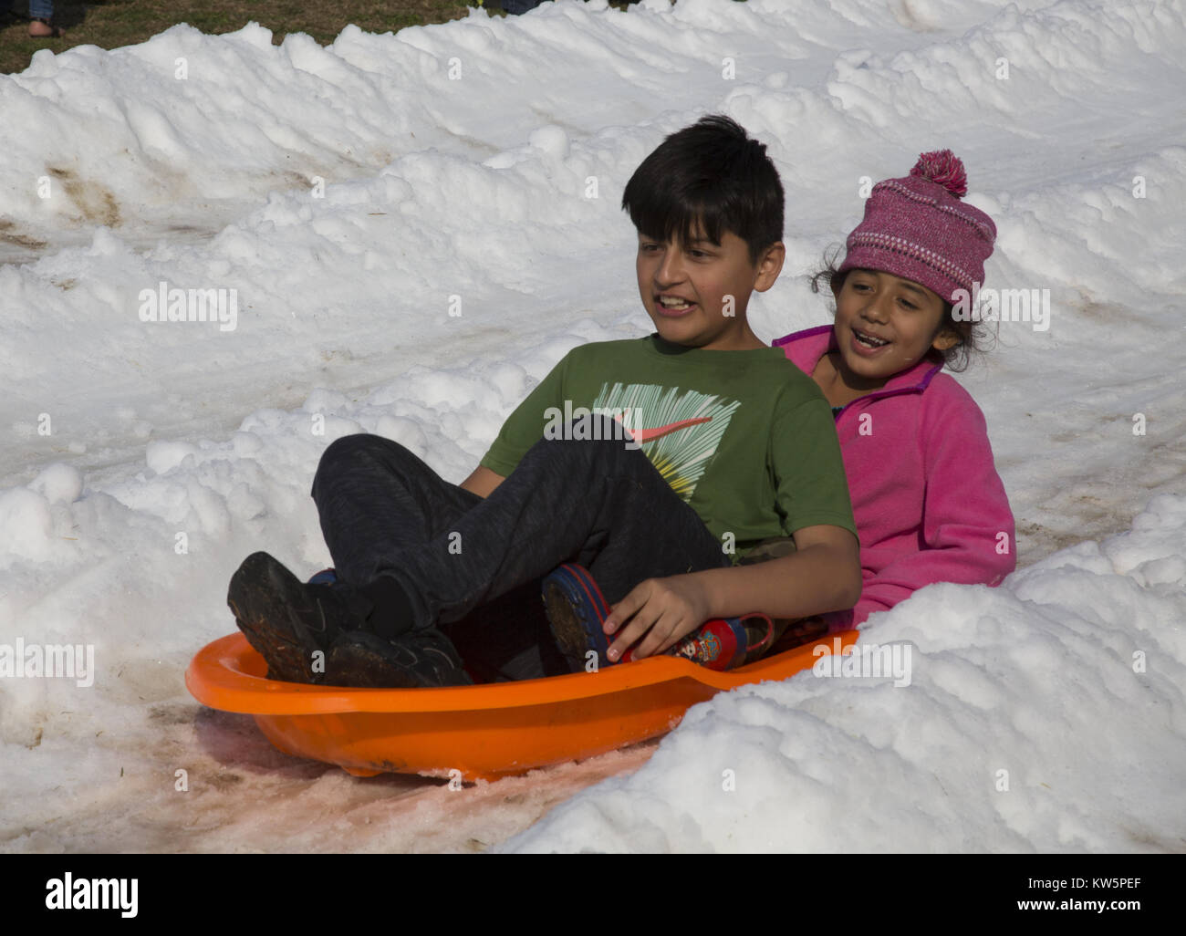 Children sled riding on on trucked-in snow at Drake Park in Long Beach ...