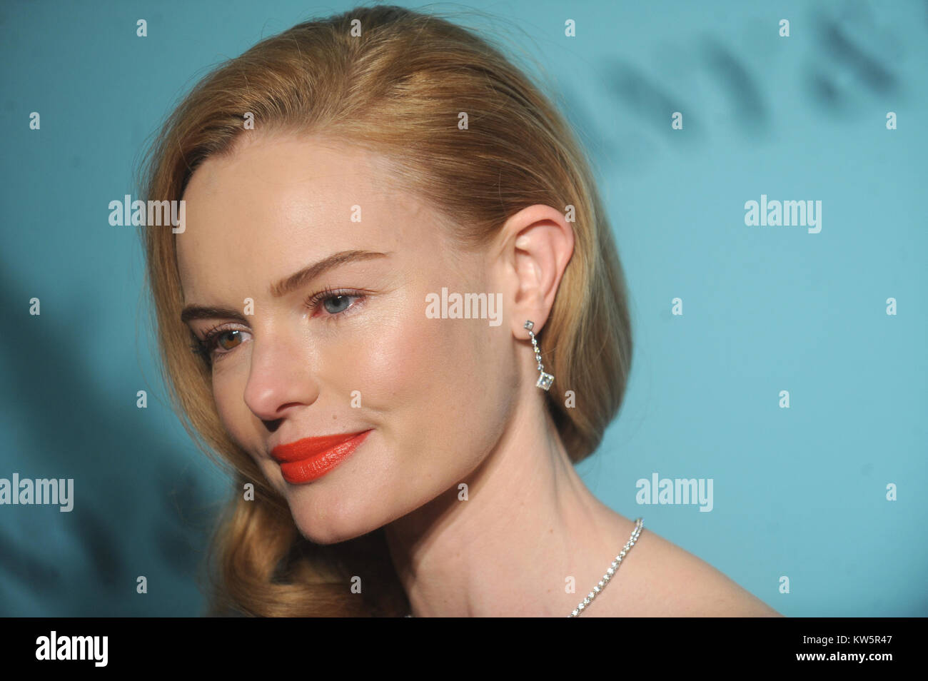 NEW YORK, NY - APRIL 10: Kate Bosworth attends the 2014 Tiffany's Blue ...