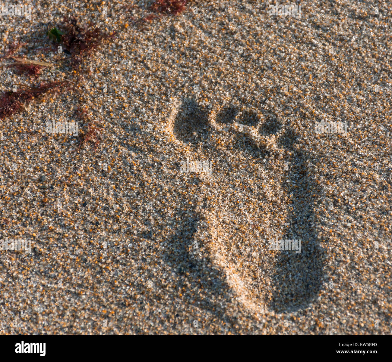 Small footprint hi-res stock photography and images - Alamy
