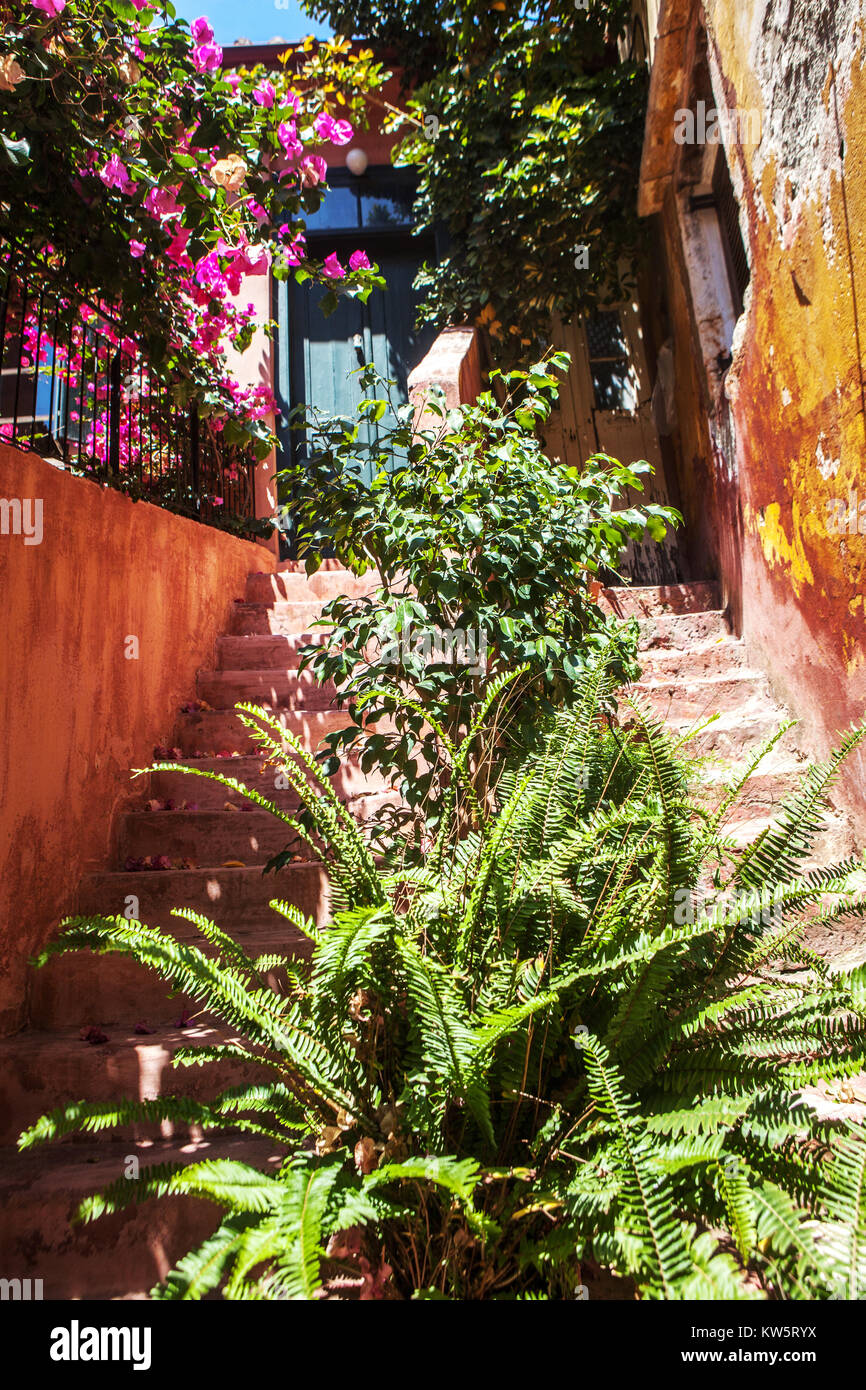 Doorway flowers hi-res stock photography and images - Alamy