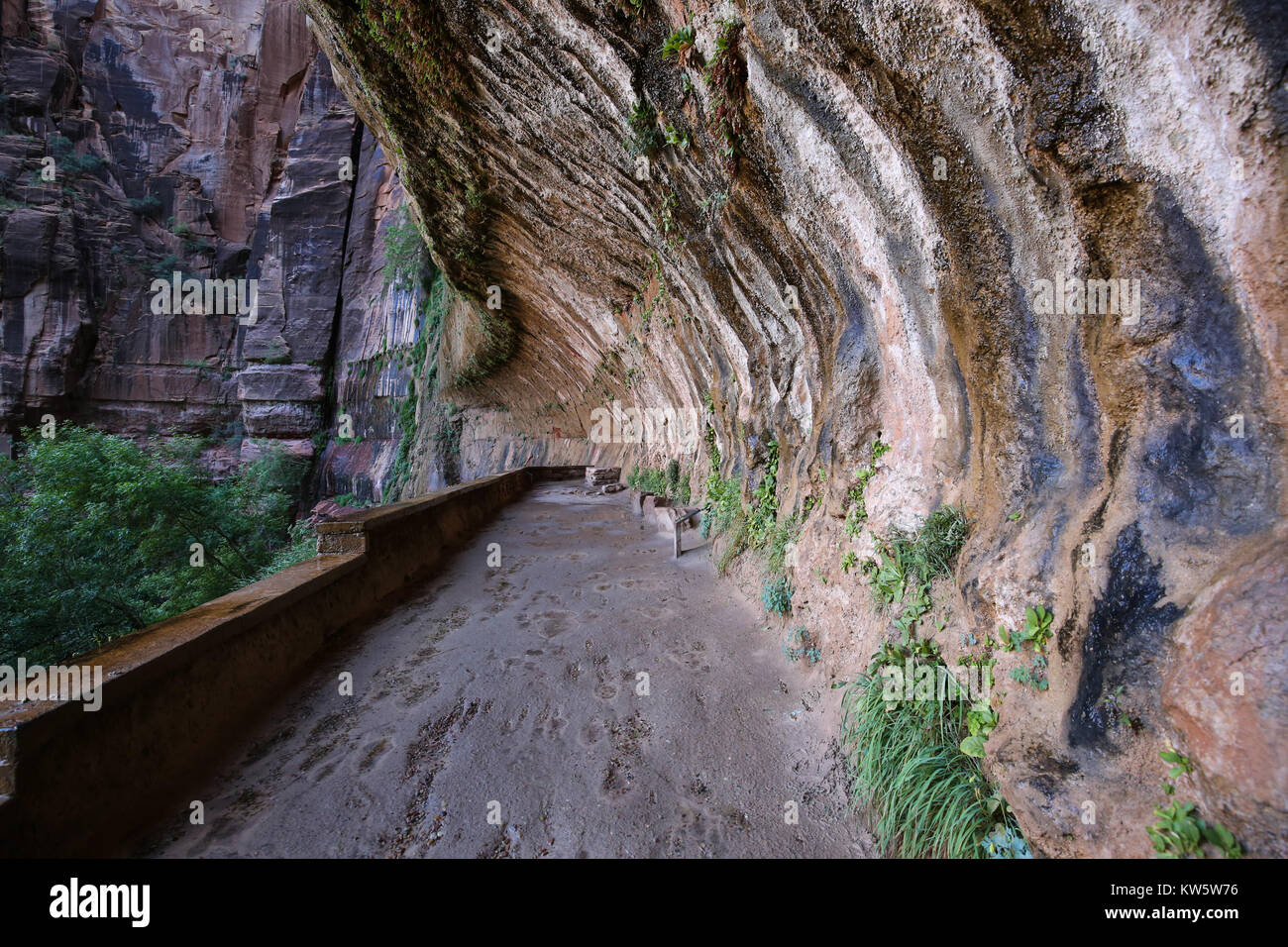 Overhanging face of Weeping Wall in Zion National Park Stock Photo - Alamy