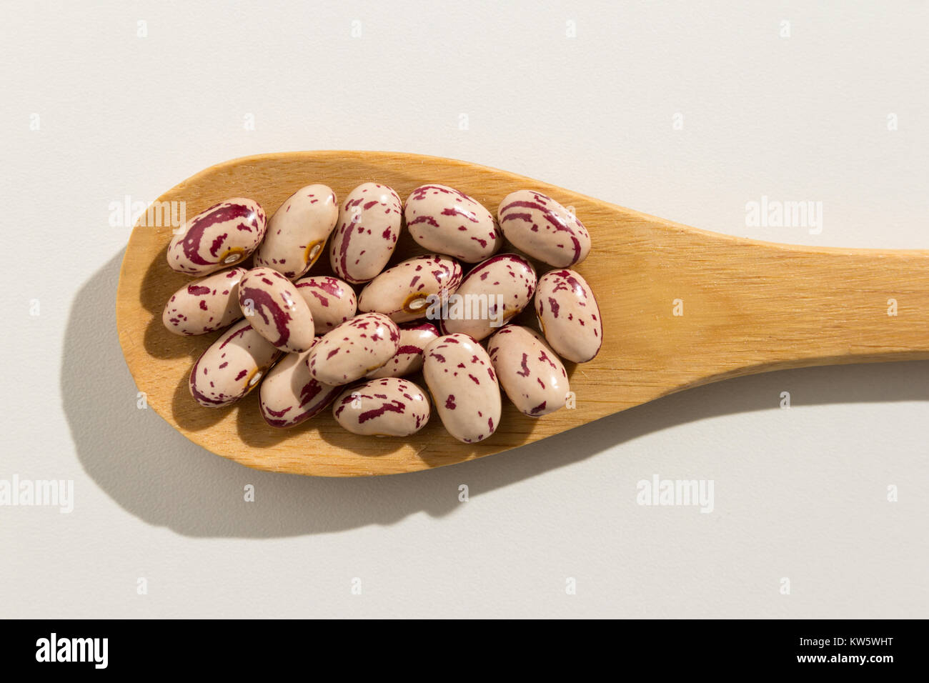 Frijol phaseolus vulgaris hi-res stock photography and images - Alamy