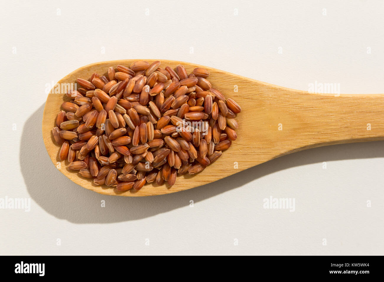 Oryza sativa is scientific name of Bhutanese Red Rice seed. Also known ...