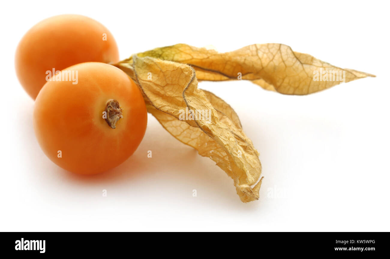 Fresh edible physalis over white background Stock Photo - Alamy