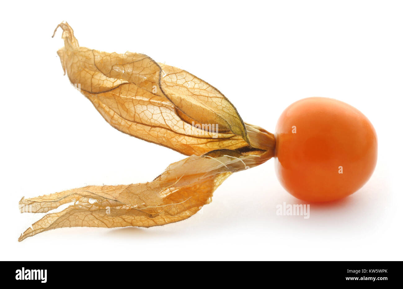 Fresh edible physalis over white background Stock Photo - Alamy