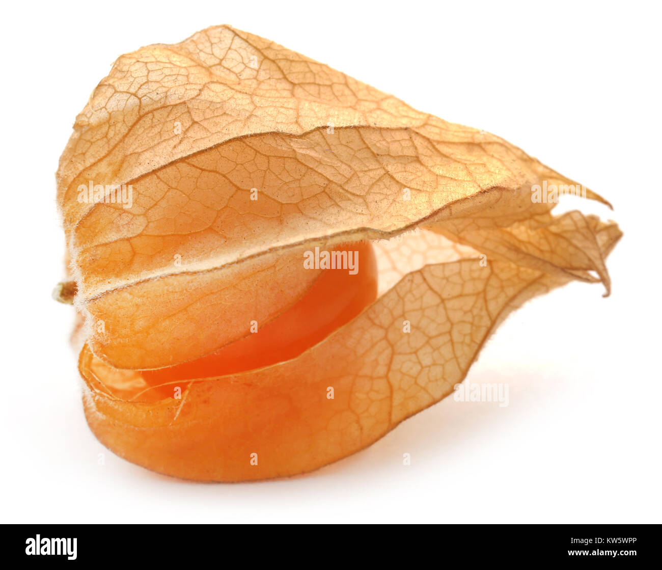 Fresh edible physalis over white background Stock Photo - Alamy