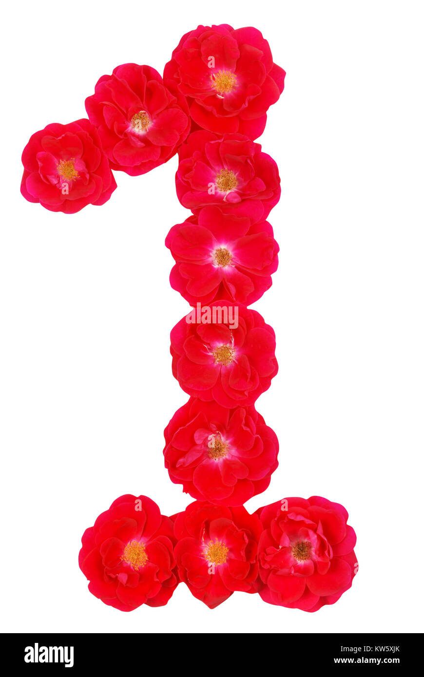 Number one laid out by roses on a white background Stock Photo - Alamy