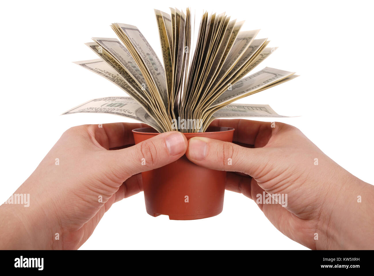 Conceptual image of dollars in a pot isolated on a white background ...