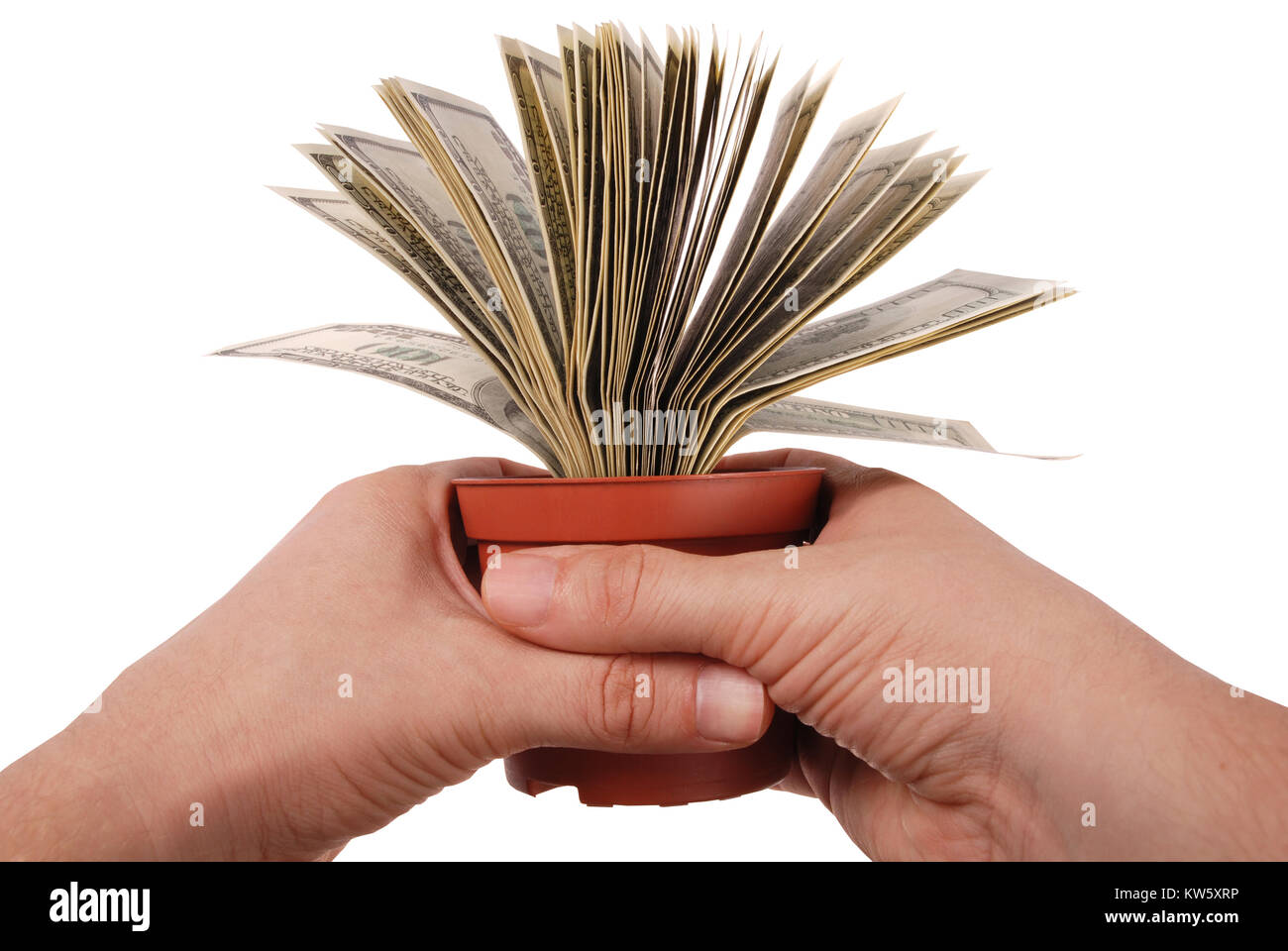 Conceptual image of dollars in a pot isolated on a white background ...