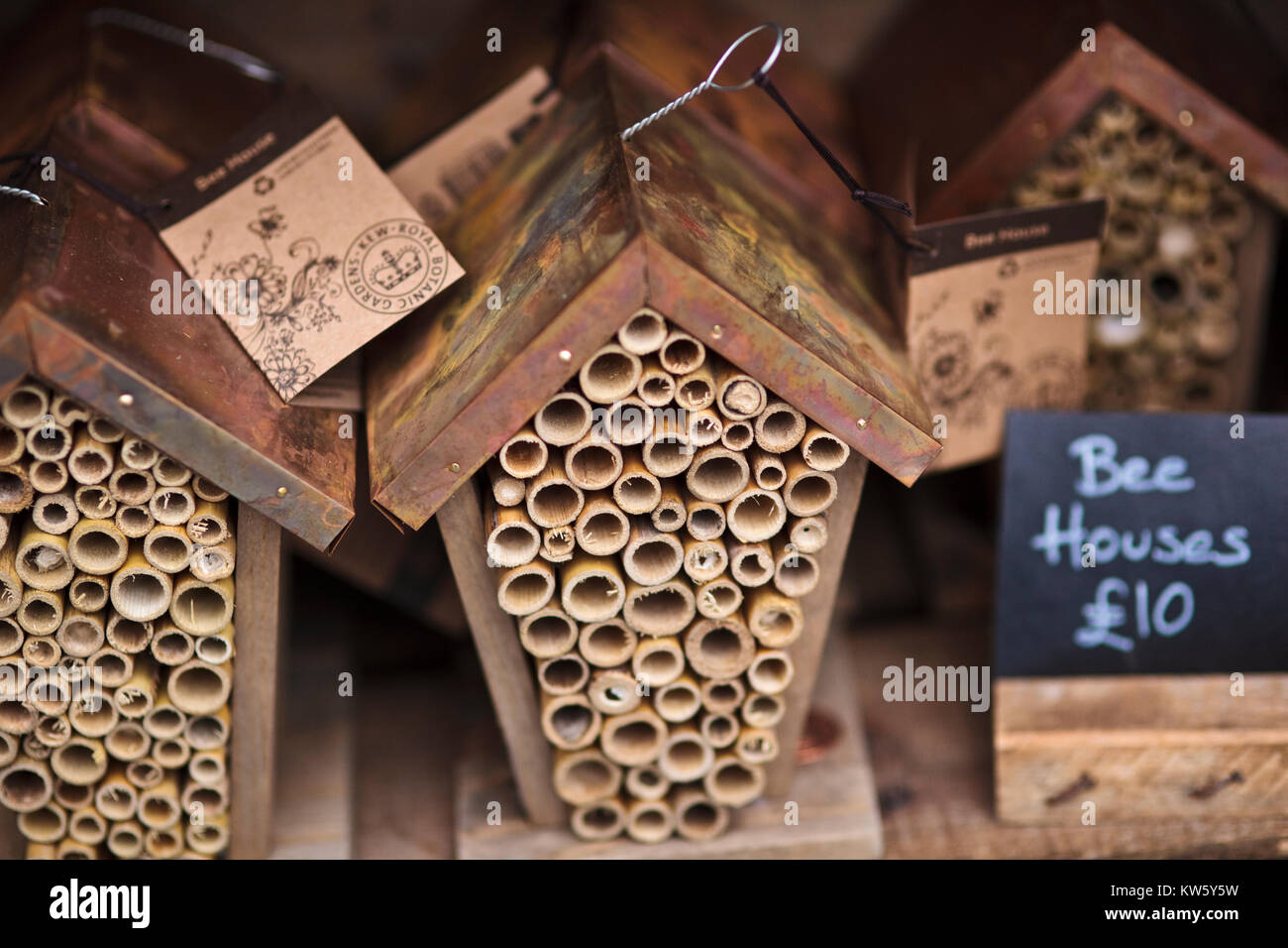 Bug friendly gardening hi-res stock photography and images - Alamy