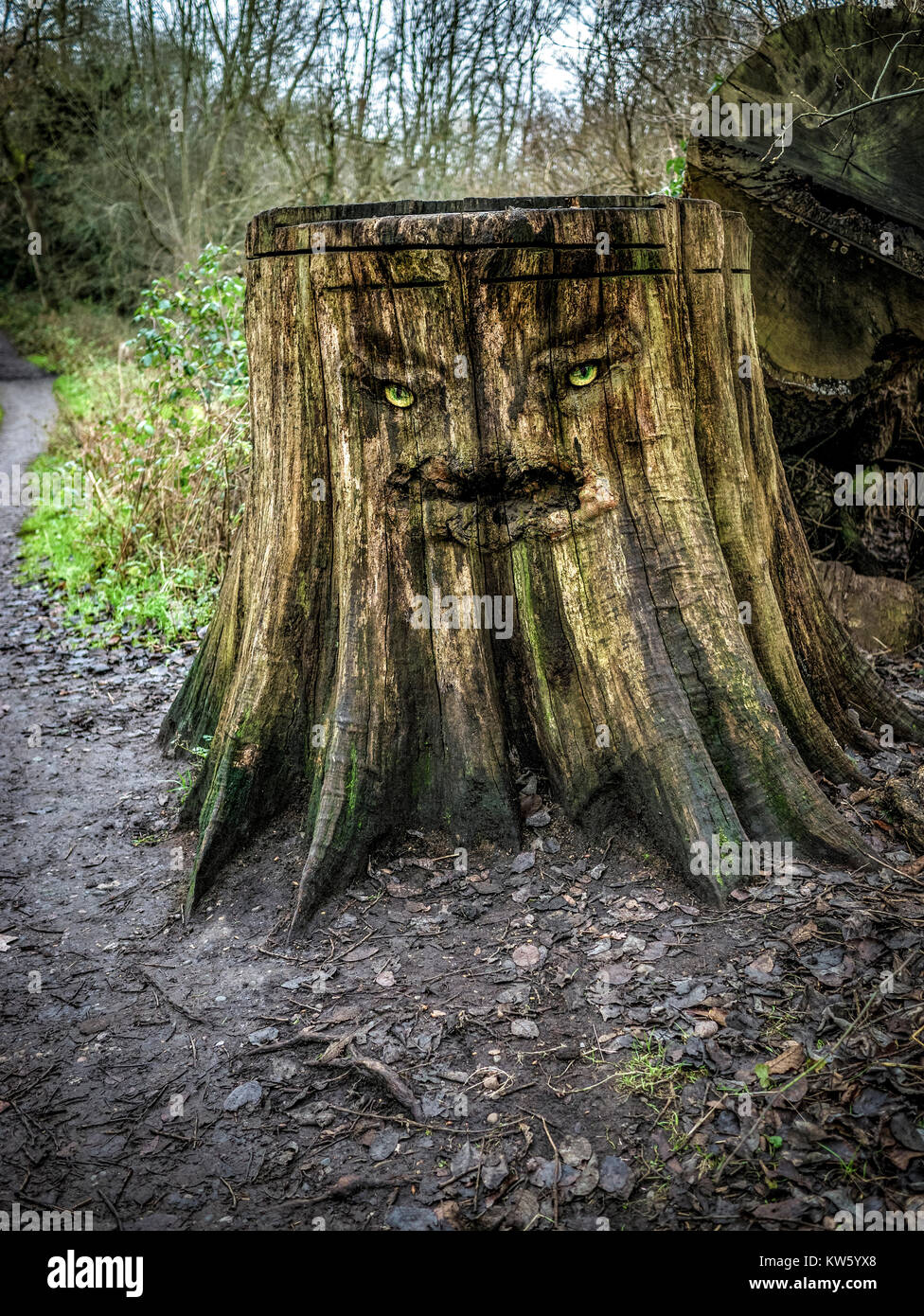 Monster bush hi-res stock photography and images - Alamy