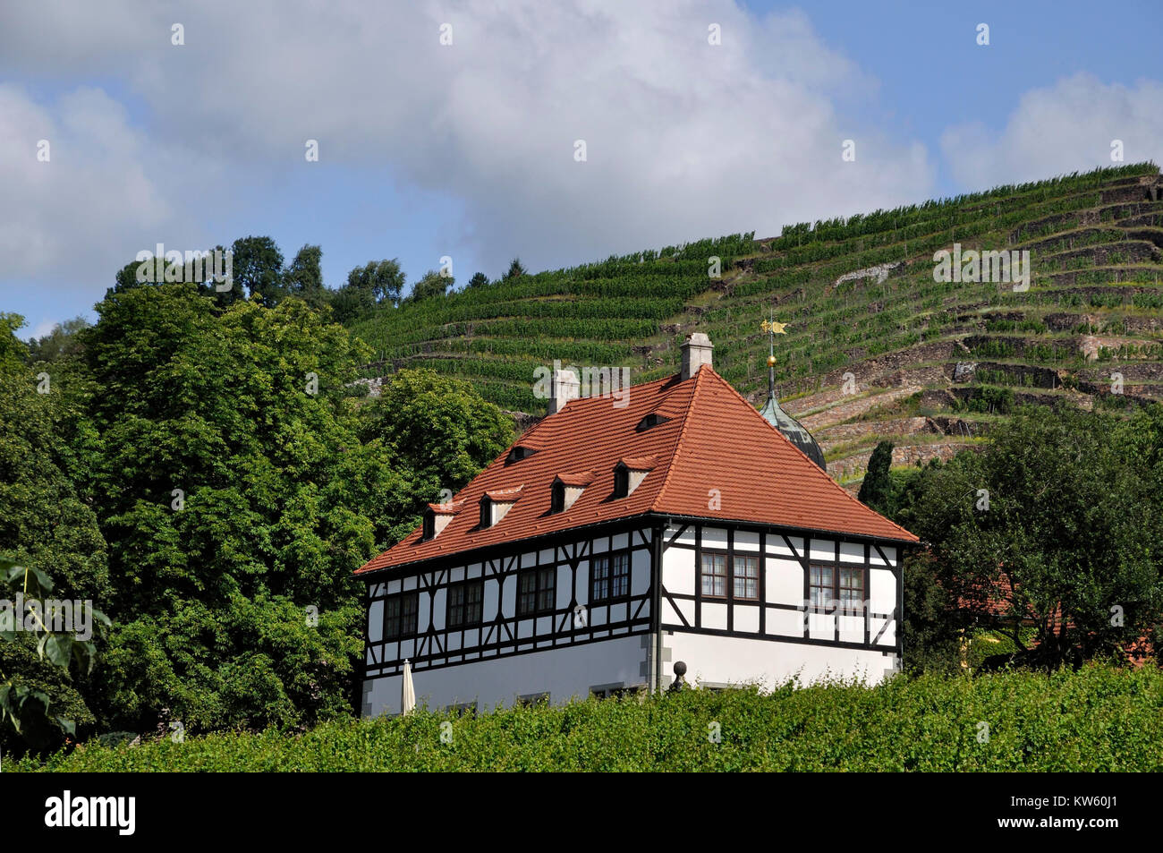 Historical vineyard scenery radebeul hi-res stock photography and ...