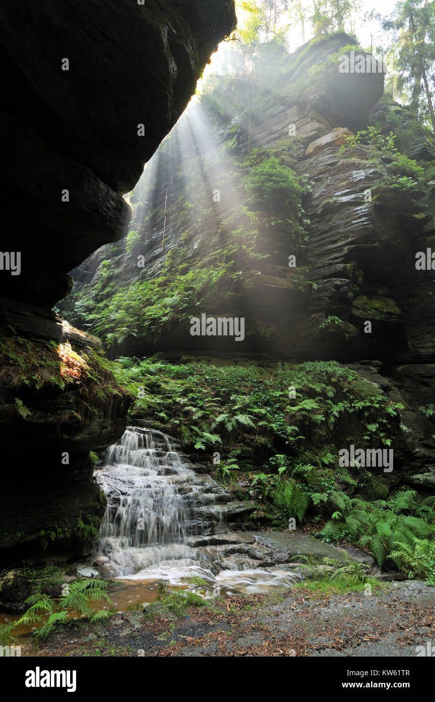 Gulch in the Elbsandstein, Schlucht im Elbsandstein Stock Photo - Alamy