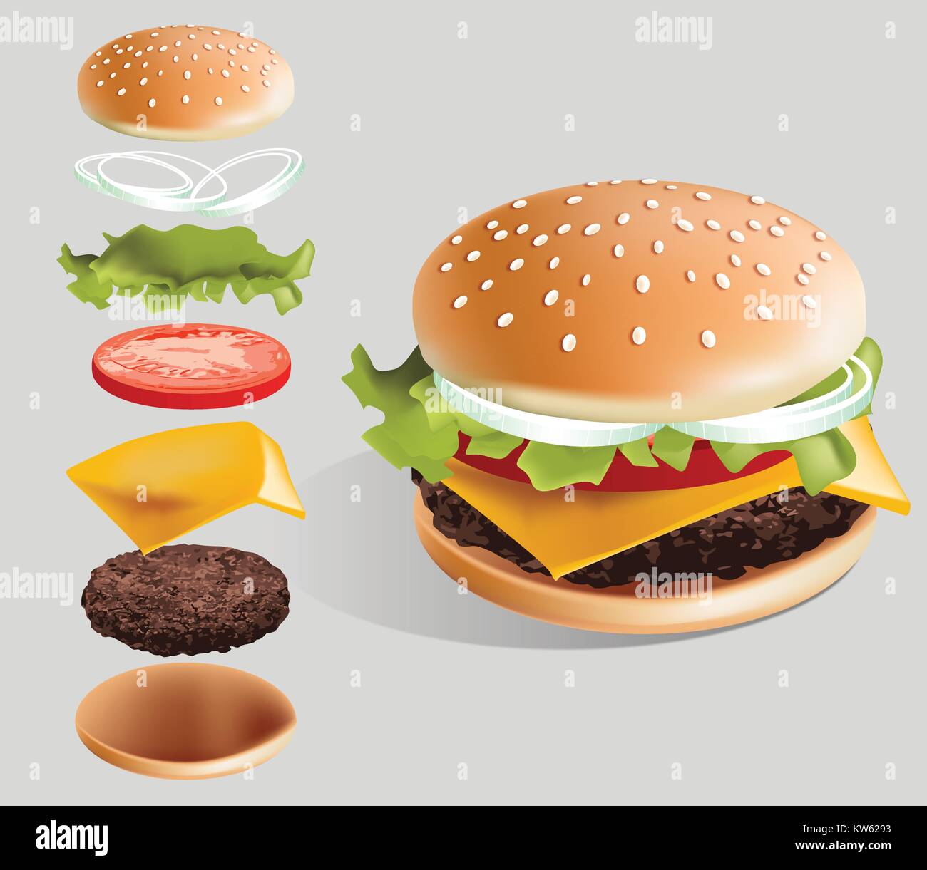 Hamburger and it's parts vector illustration with white background ...