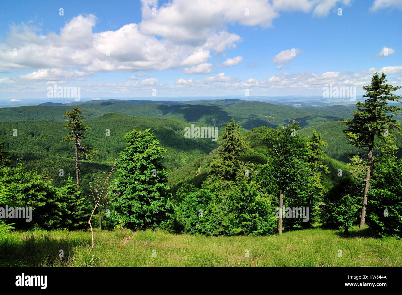 Westlicher turinger wald vom inselsberg hi-res stock photography and ...