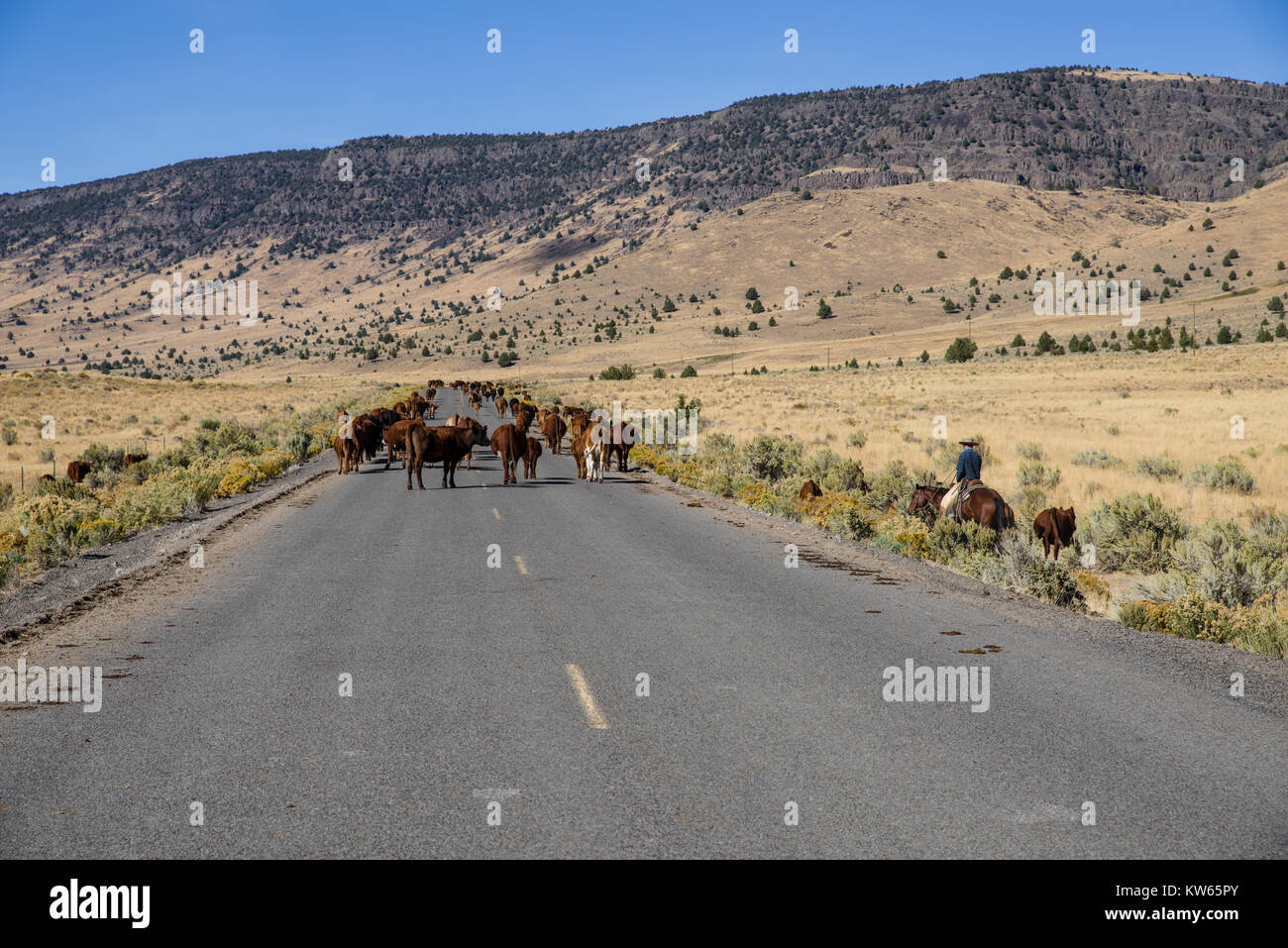 Catlow valley hi-res stock photography and images - Alamy