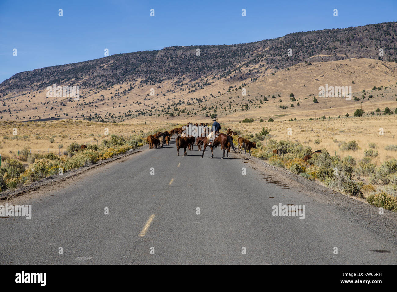 Catlow valley hi-res stock photography and images - Alamy
