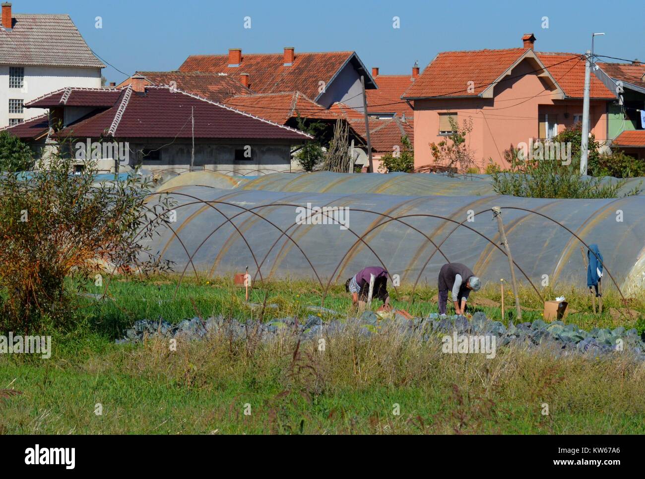 people work the land Stock Photo - Alamy