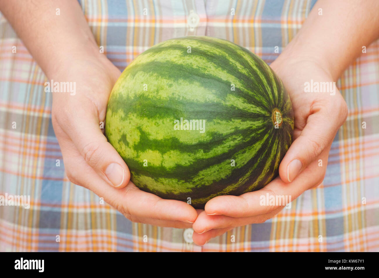 Woman Holds Mini Watermelon in Her Hands. Close up Stock Photo - Alamy