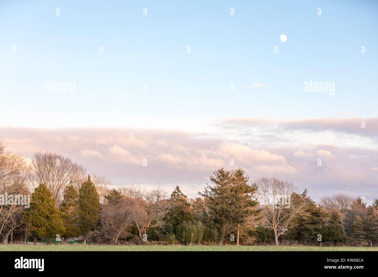 Full moon landscape trees hi-res stock photography and images - Alamy