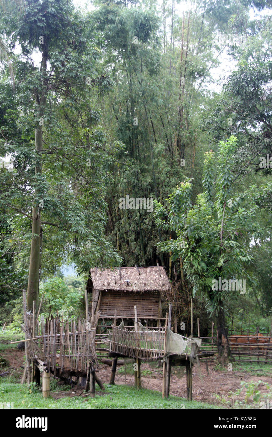 Wooden houses in the village near Vang Vieng. Laos Stock Photo - Alamy