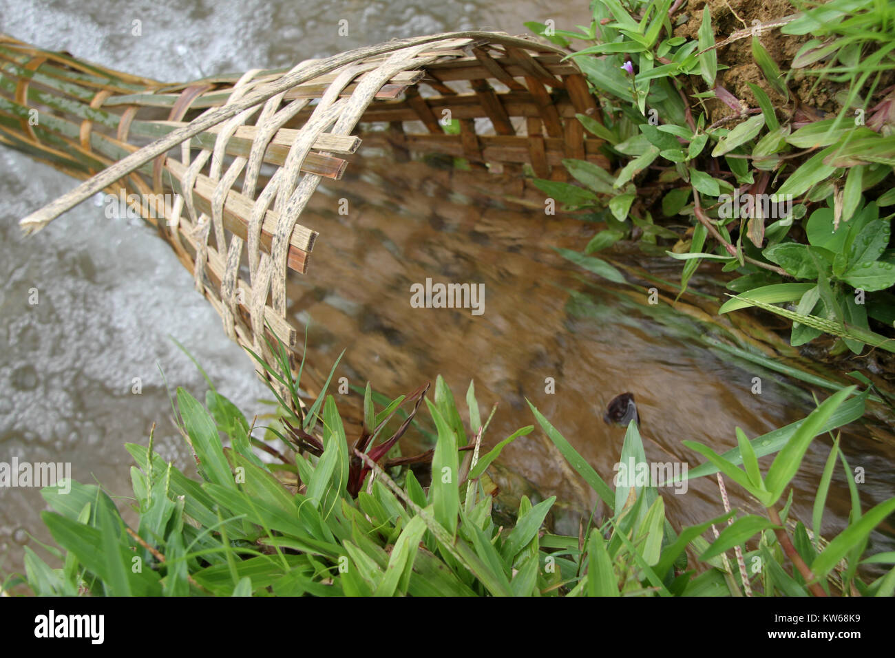 Bamboo wooden trap on the rice field in Laos Stock Photo - Alamy