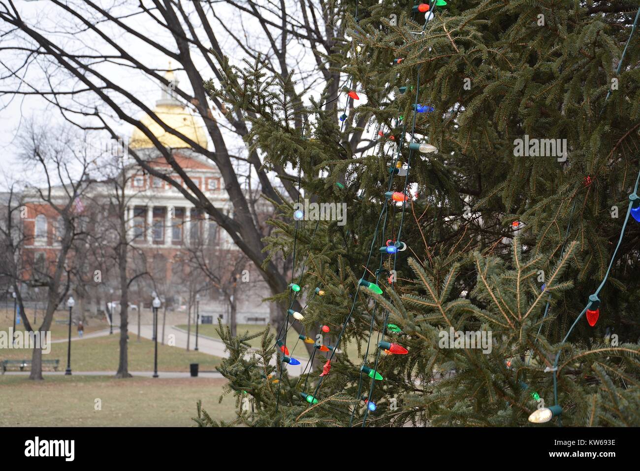 Boston decorated for the Christmas and holiday Season in late December ...