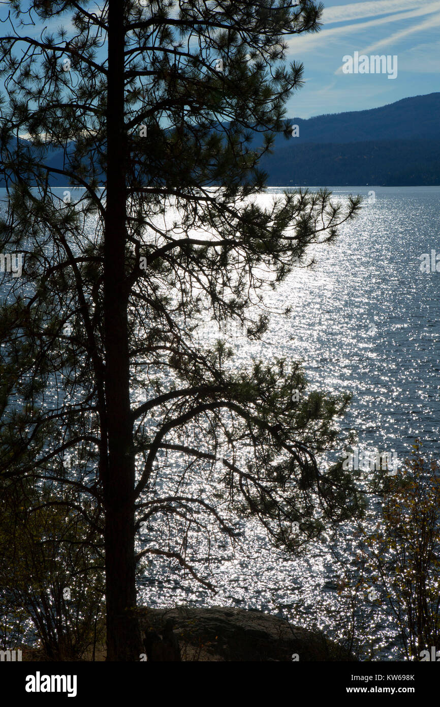 Coeur D'Alene Lake, Tubbs Hill Natural Area, Coeur D'Alene, Idaho Stock ...