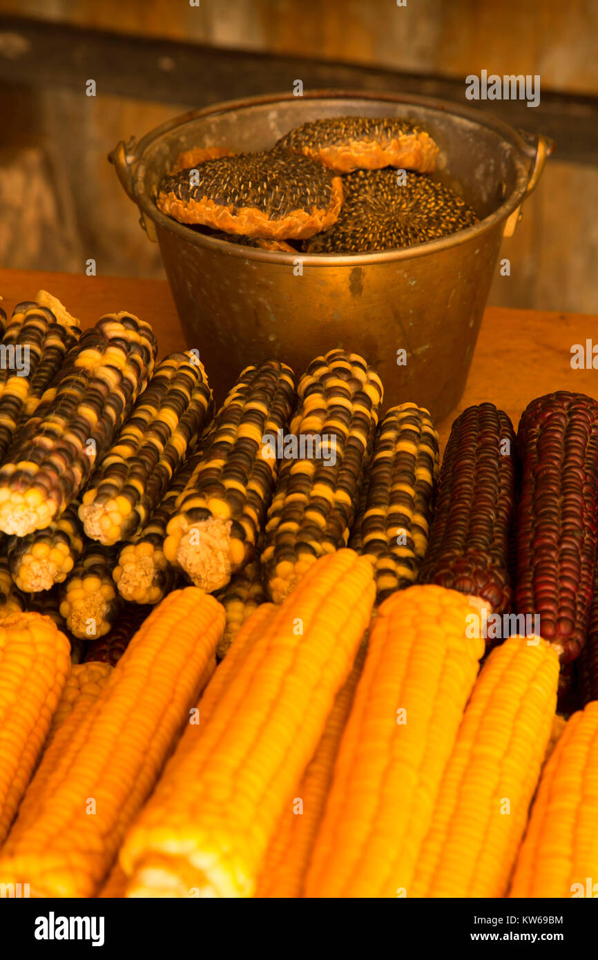Corn, Fort Mandan Historic Site, Fahlgren Memorial Park, Lewis and ...