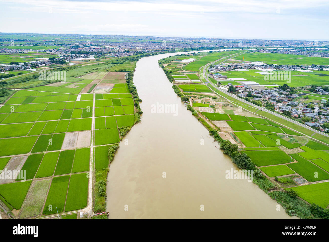Rice Field, Minami-Ku, Niigata City, Niigata Prefecture, Japan Stock ...