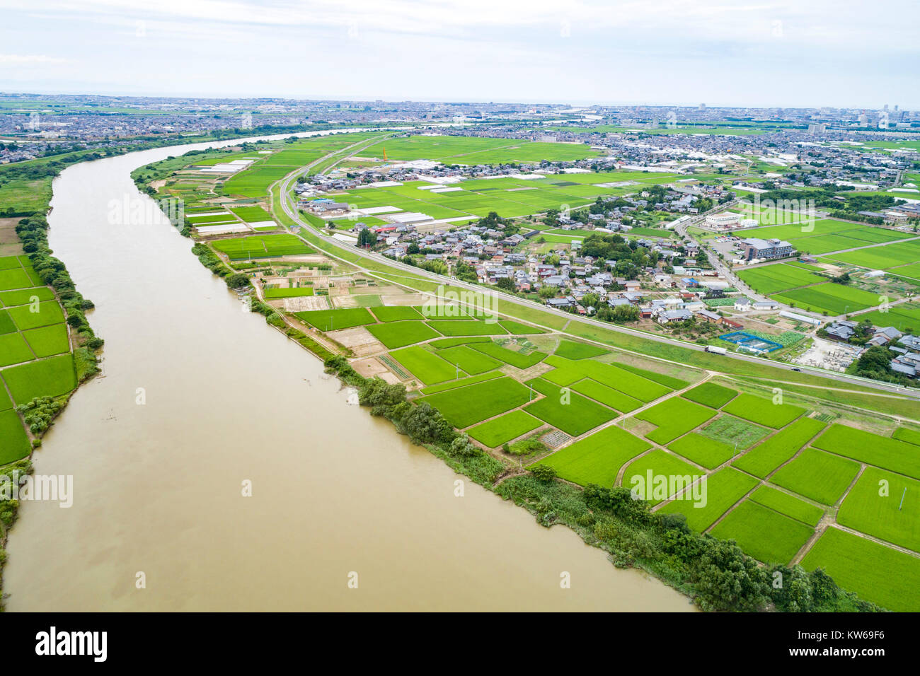 Rice Field, Minami-Ku, Niigata City, Niigata Prefecture, Japan Stock ...