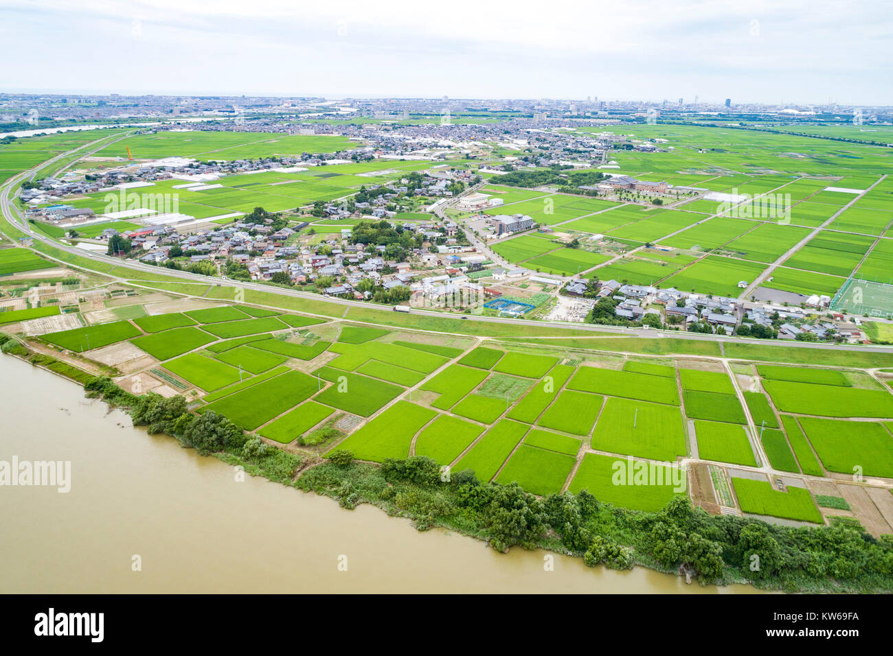Japan niigata rice hi-res stock photography and images - Alamy