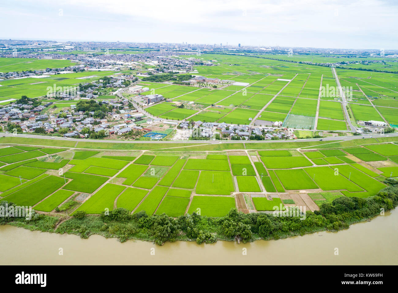 Rice Field, Minami-Ku, Niigata City, Niigata Prefecture, Japan Stock ...